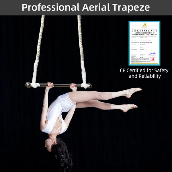 2026 Prior Fitness New Design Trapeze Bar Aerial Yoga Trapeze Bar ...